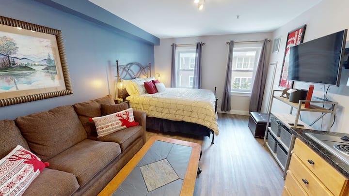 Seneca 311 - Brigham Junior Studio Condo - Kumbrabow State Forest, Huttonsville