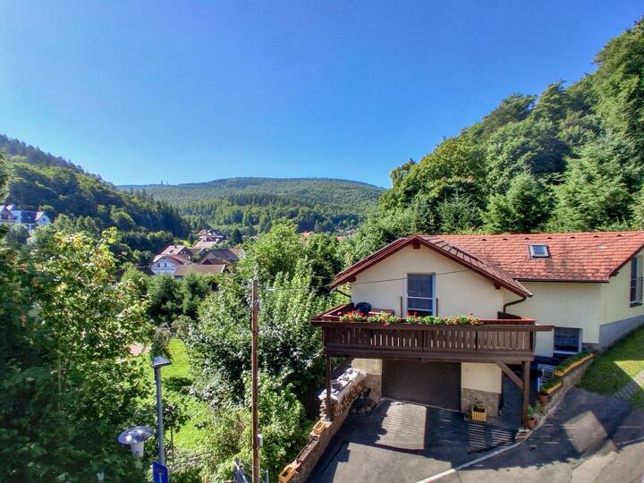 Maison De Vacances Au Vert Près Du Rennsteig - Waltershausen
