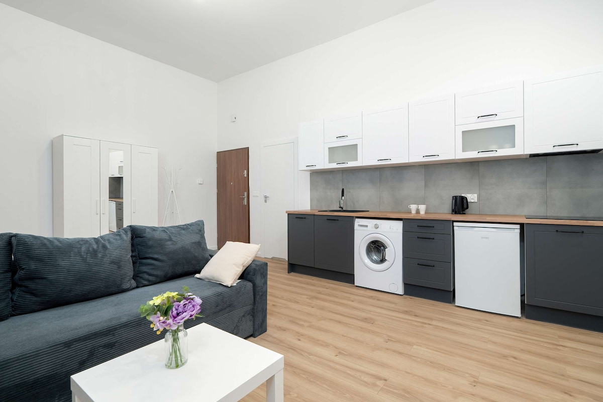 Matejki 58 | Studio lumineux | MTP - Airbnb