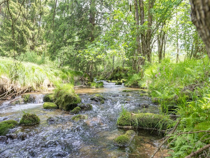 Chalet Schwarzenberg Près Du Ski & Ruisseau - Wegscheid