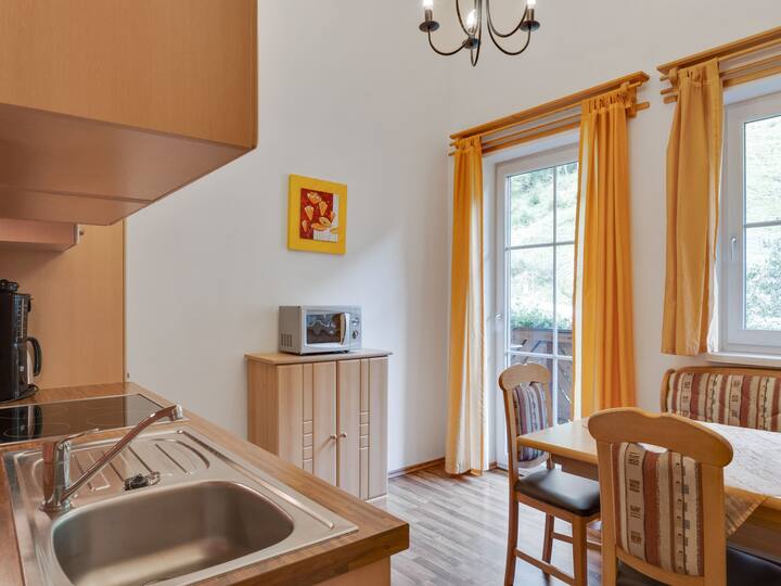 Appartement Grossarl Près Des Pistes - Großarl