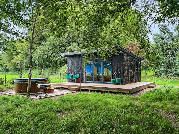 Andromeda - Uk50359 - Castle Douglas