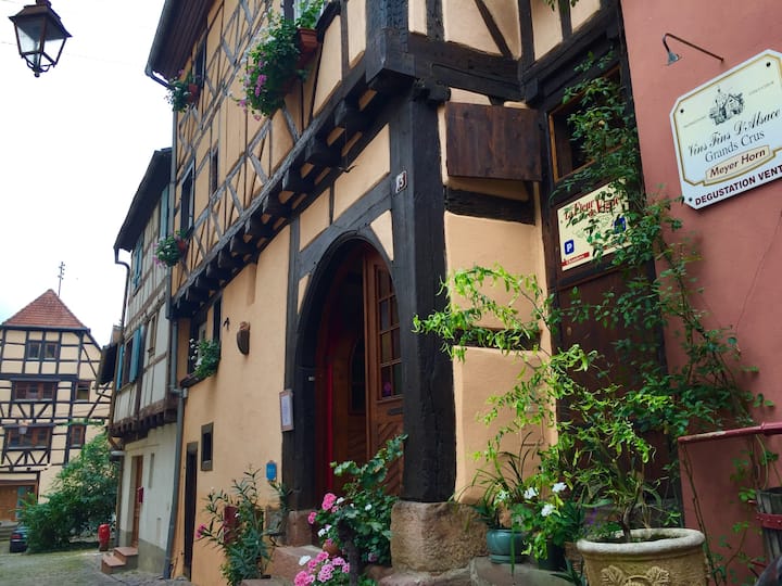 Appartement à Riquewihr Près Des Vignes - Riquewihr