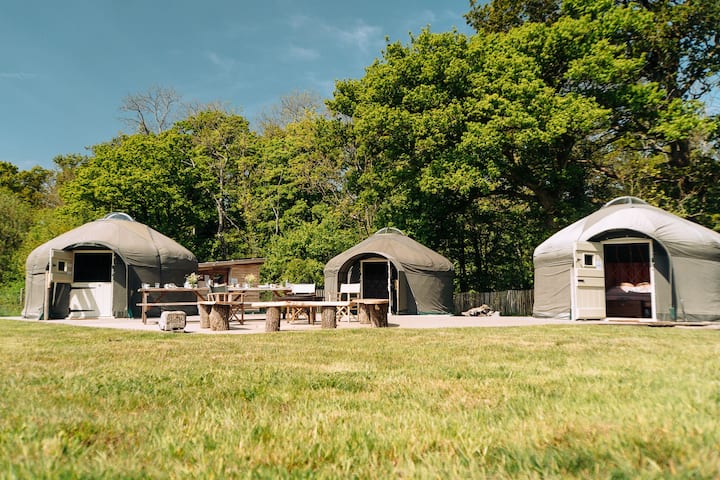 Secluded Dorset Luxury Glamping. Full Site - Dorset