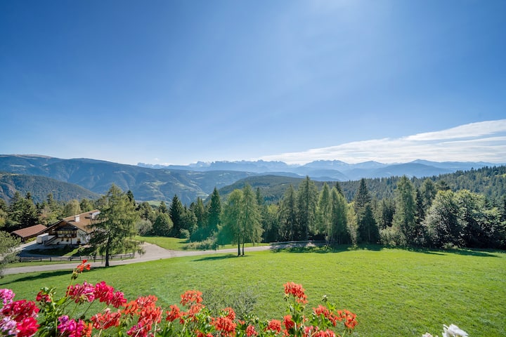 Stücklhof Wohnung Veilchen - Bolzano
