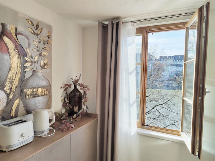 Casa Rheinblick - Apartment (C) | 1br River View - Basel