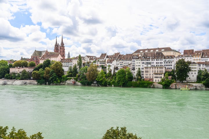 Casa Rheinblick - Apartment (D) | 3br Penthouse - Basel