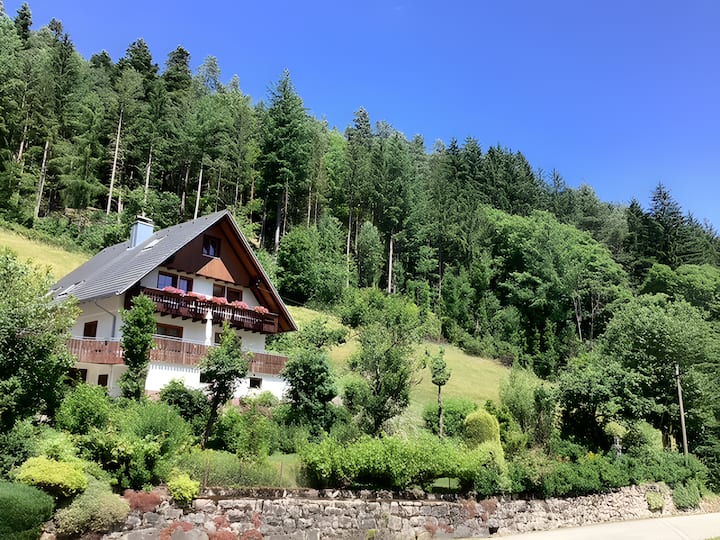 Ferienwohnung 2 - Wohnen Im Grünen - Hornberg