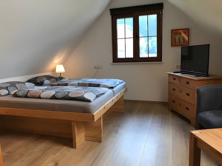 Naturhäusle Apartment - Hornberg