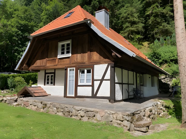 Ferienhaus Waldhäusle - Gutach (Schwarzwaldbahn)