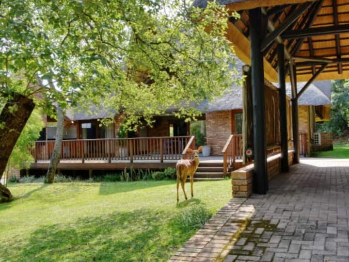 Mashoshobane Private Lodge(531)-kruger Park Lodge - Hazyview