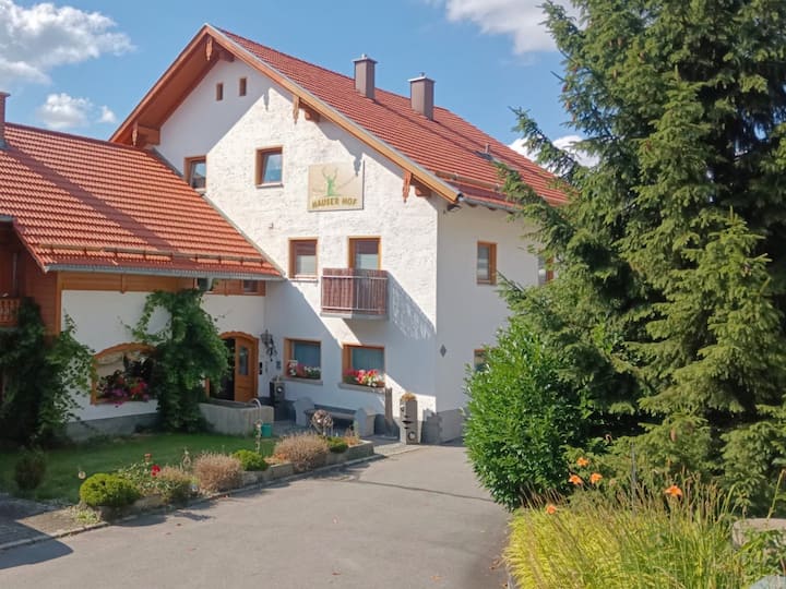 Appartement Lumineux Dans La Forêt Bavaroise - Waldkirchen
