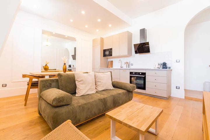 Le Sassenay En Plein Centre Ville - Dijon