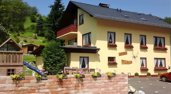 Ferienwohnung Sonnentraum - - Willingen