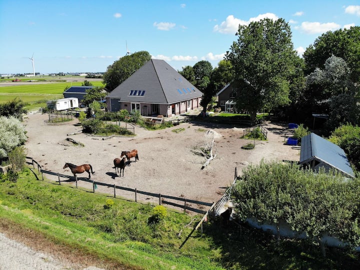 Route 54 - Den Helder