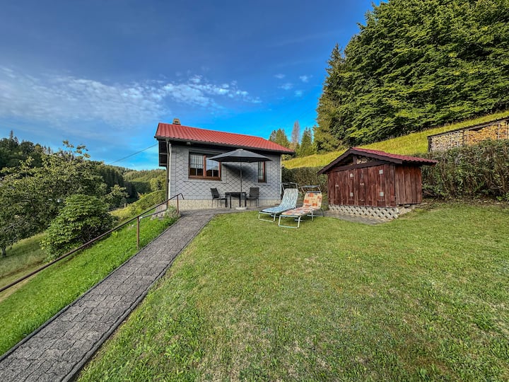 Maison Avec Jardin Dans La Forêt De Thuringe - Waldau