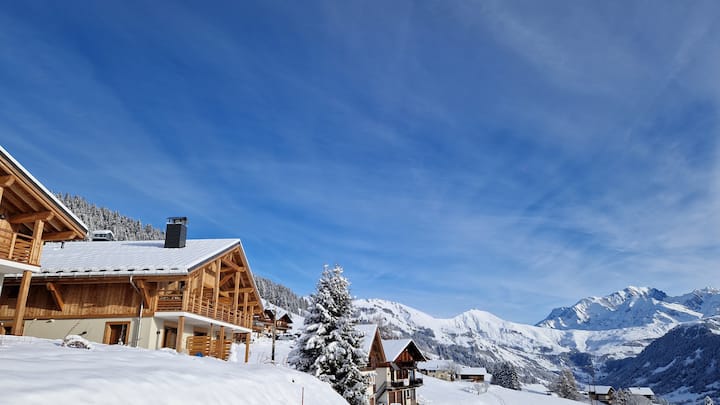 Les Saisies : Appartement Cosy Proche Des Pistes - Beaufort