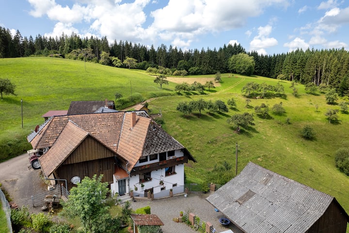 Ferien Auf Der Fleischdielte - Steinach