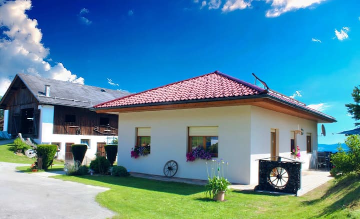 Panorama Ferienhaus Am Stopferhof Ferienhaus - Kärnten