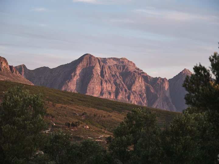 Shackleton Eco Pod - Wellington