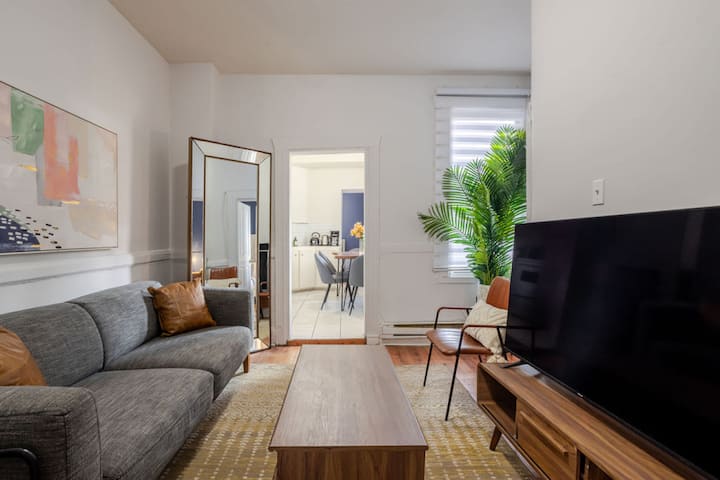Cozy Loft Downtown Montréal - Montreal