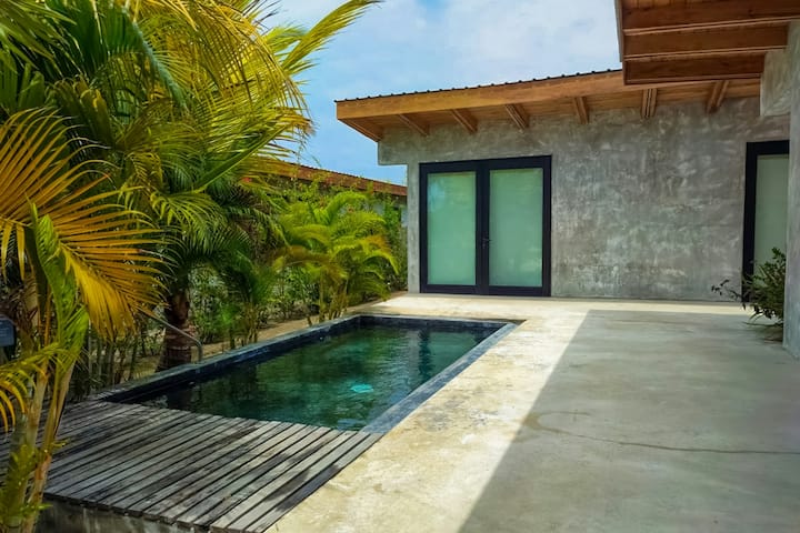 4br Villa With Beach Access, Private Pool & Wifi - Placencia