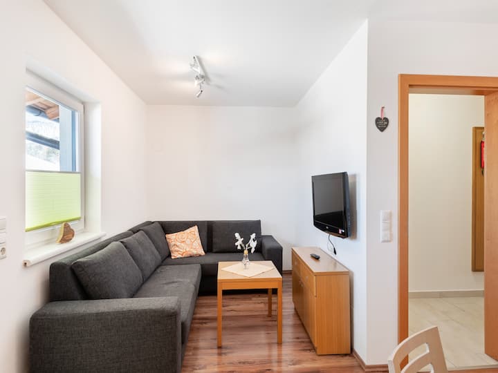 Appartement à Saalfelden Près Des Pistes - Saalfelden