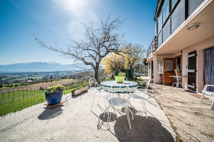 Les Hortensias - La Roche-sur-Foron