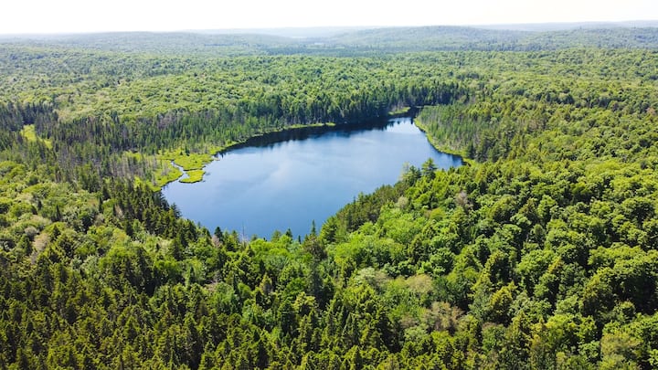 #3 Nature Lodge Room | Fishing, Trails & Nature - Algonquin Provincial Park
