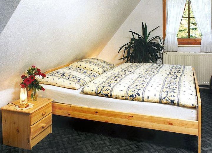 Große Fewo (Ferienwohnungen Ihle) - Altenberg