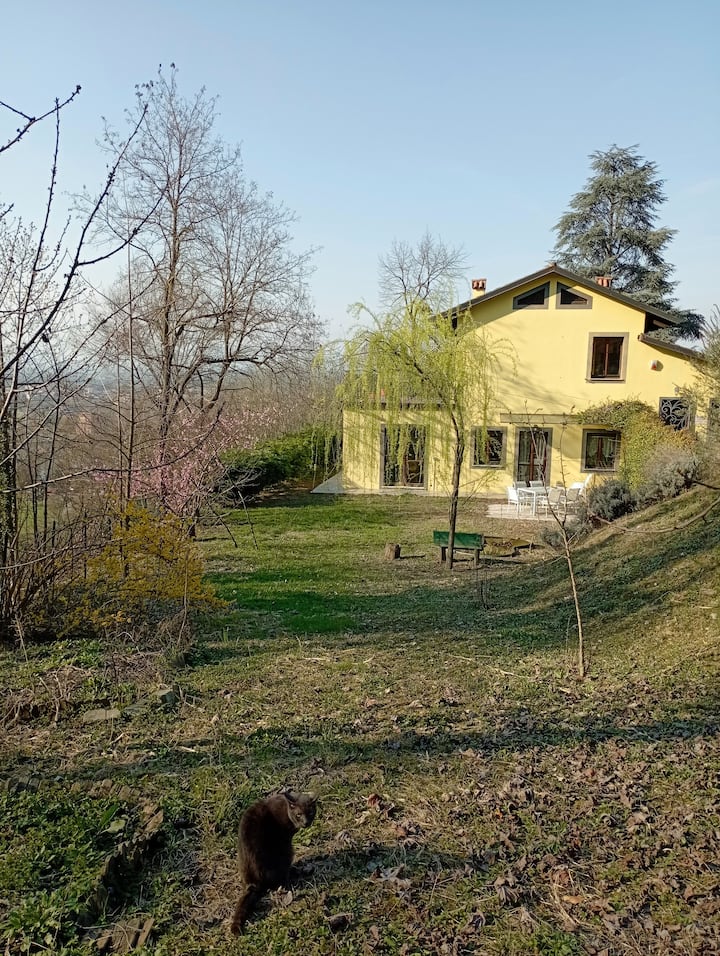 Il Trucchetto - Castagneto Po - Chivasso