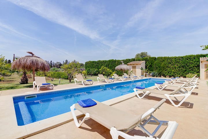 Can Amer Ref 256 - Porto Cristo