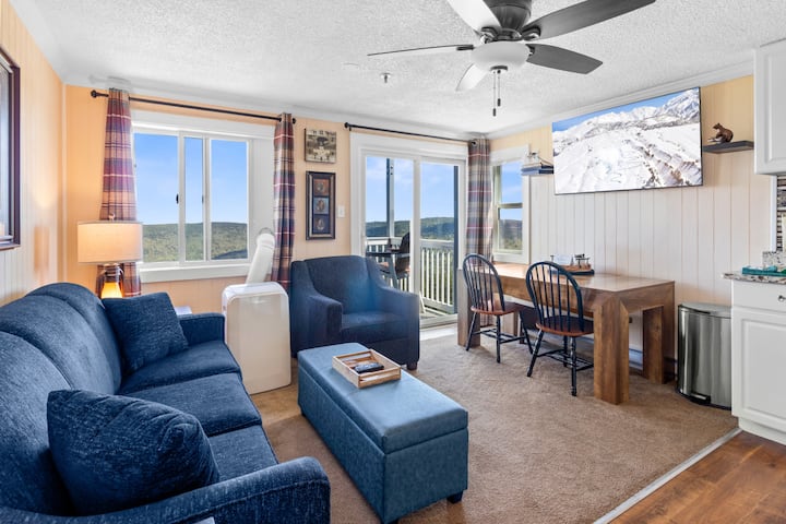 Mountain Lodge 282 Balcony Views Wifi Ez Parking - Seneca State Forest, Dunmore