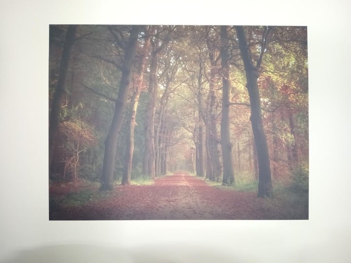 Kamer 4: Asser Bos - Assen
