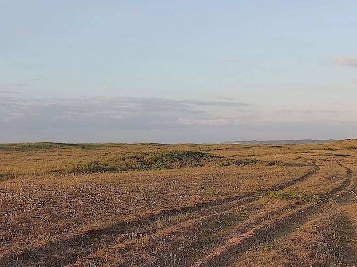 Maison De Vacances Pour 7 A Fjerritslev-by Traum - Dania