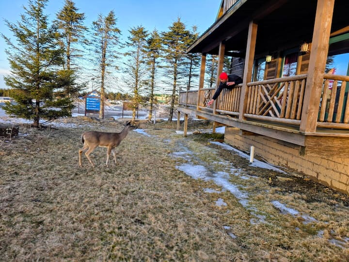 Timbers 1: 4 Br - Snowshoe, WV