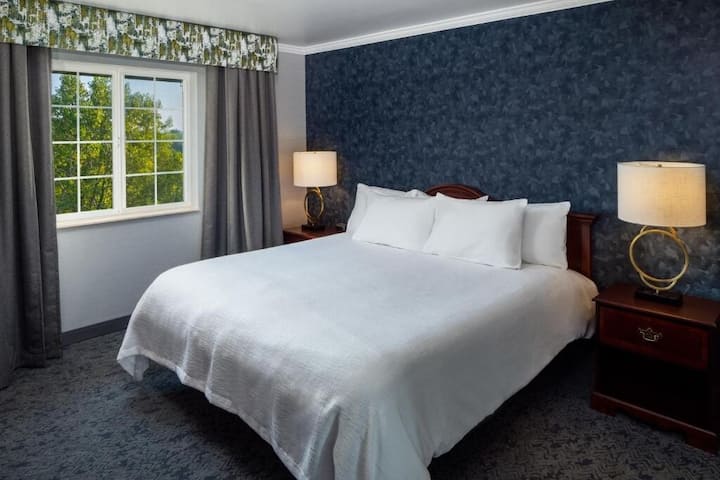 Relaxing Unit Free Shuttle Near Galena Historic - Galena, IL