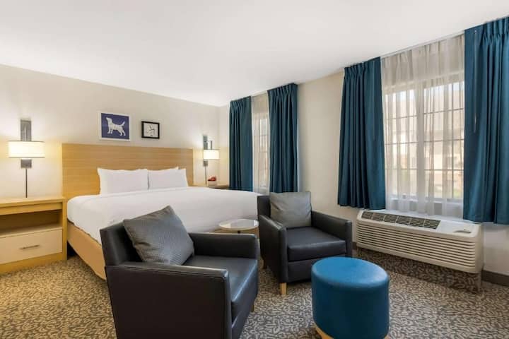 Explore Local Gems From This Suite In Charlotte - Charlotte, NC