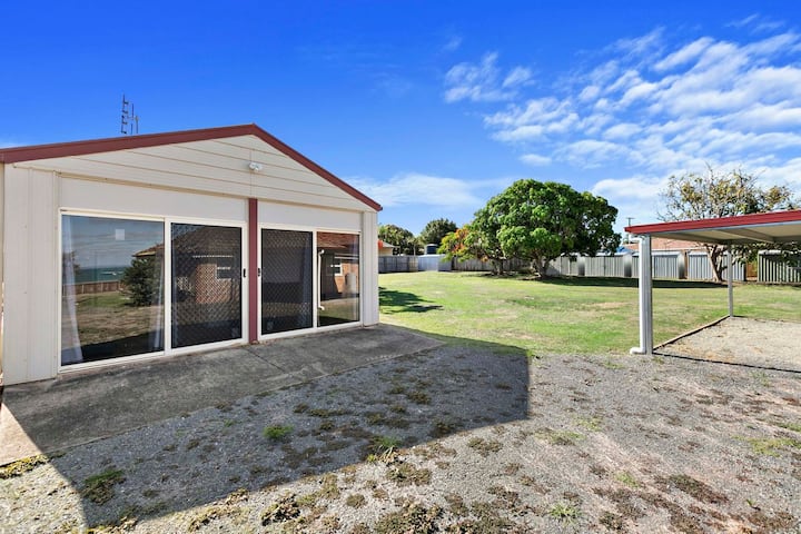 Kangaroos At The Point - Hervey Bay
