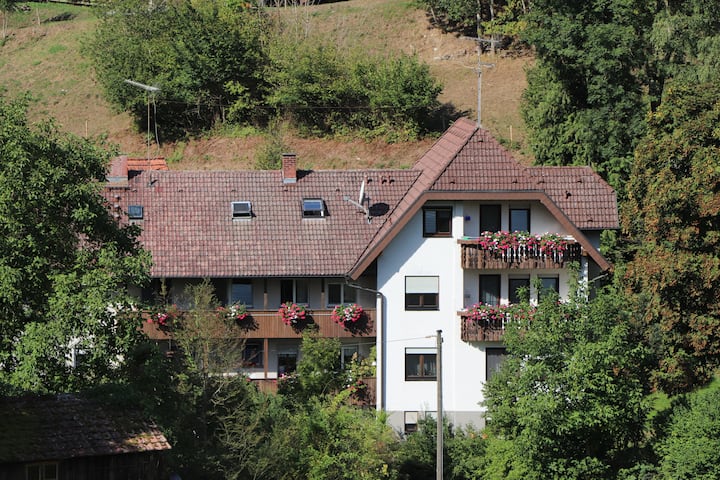 Nr 4 Ferienwohnung Bachstelze - Emmendingen