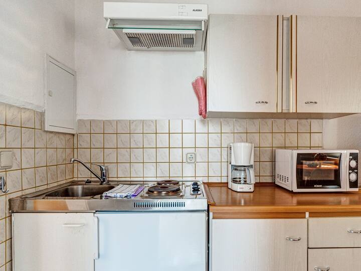Appartement Confortable Près Des Sentiers - Masserberg
