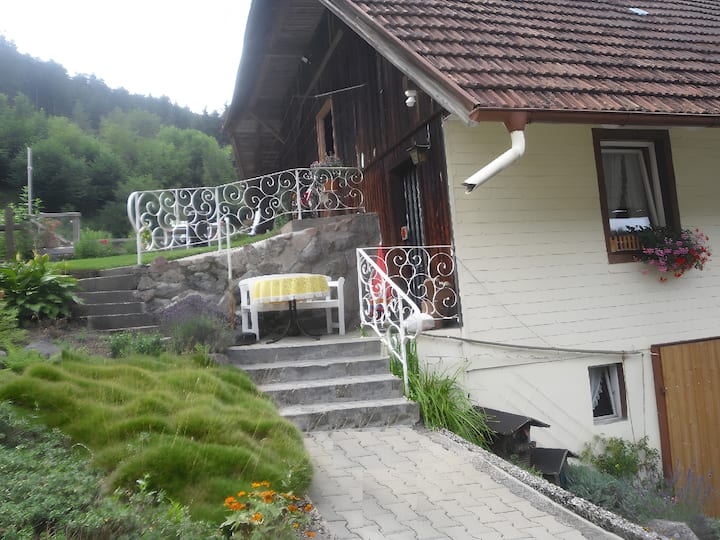 Ferienwohnung 3, 45qm - Triberg