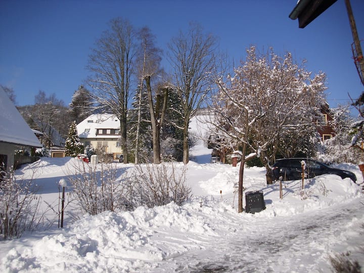 Appartement Confortable Avec Jardin à Bernau - Bernau im Schwarzwald