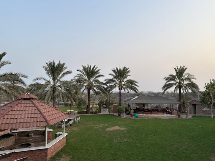 Palm Haven Farm Stay | Wadi Ashwani Escape - United Arab Emirates