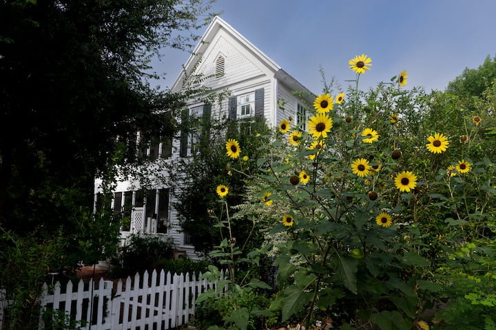 In The Heart Of Bastrop's Historic District - Bastrop, TX