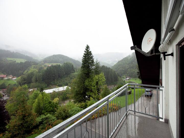Appartement Avec Vue Sur Le Vignoble - Oberharmersbach