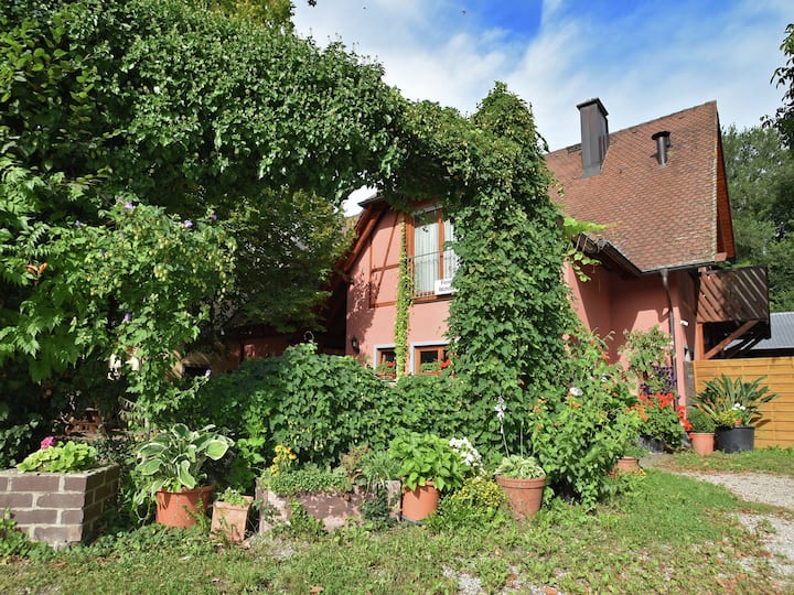 Appartement Familial - Merdingen