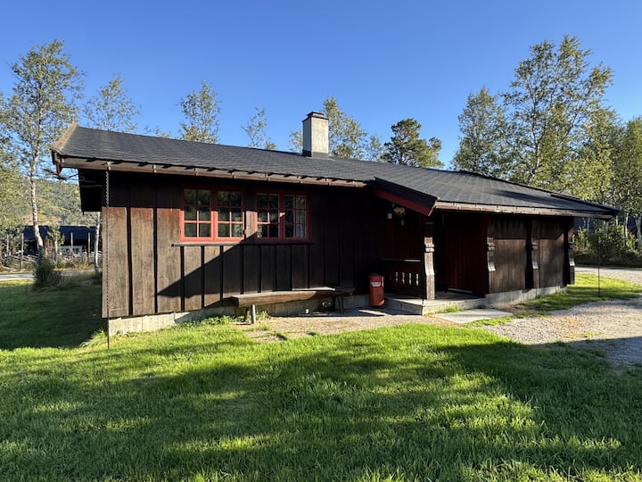 Briskebu, Cosy Cabin By Ski Slopes - Geilo