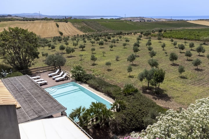 Oliva - Castelvetrano