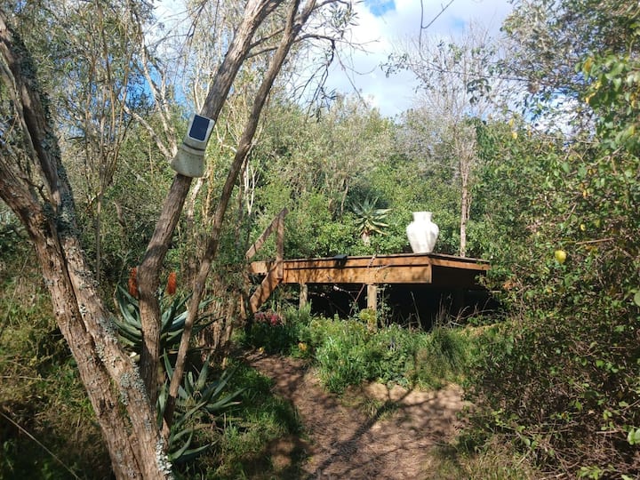 Milkwood Wooden Deck Campsite - Swellendam